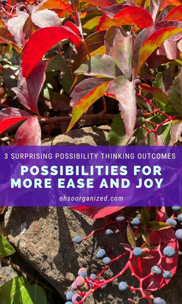 How to Embrace Possibilities and Create More Ease and Joy in Your Life ...