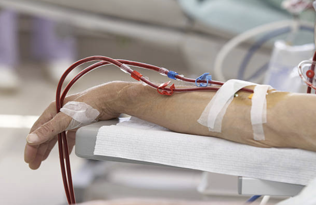 About Kidney Disease — Kidney Support Network
