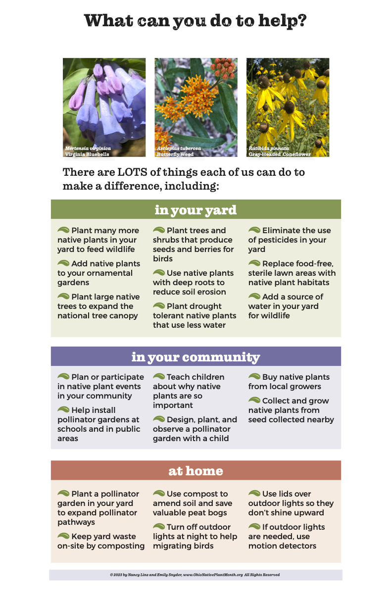 New Native Plant Posters! — Ohio Native Plant Month