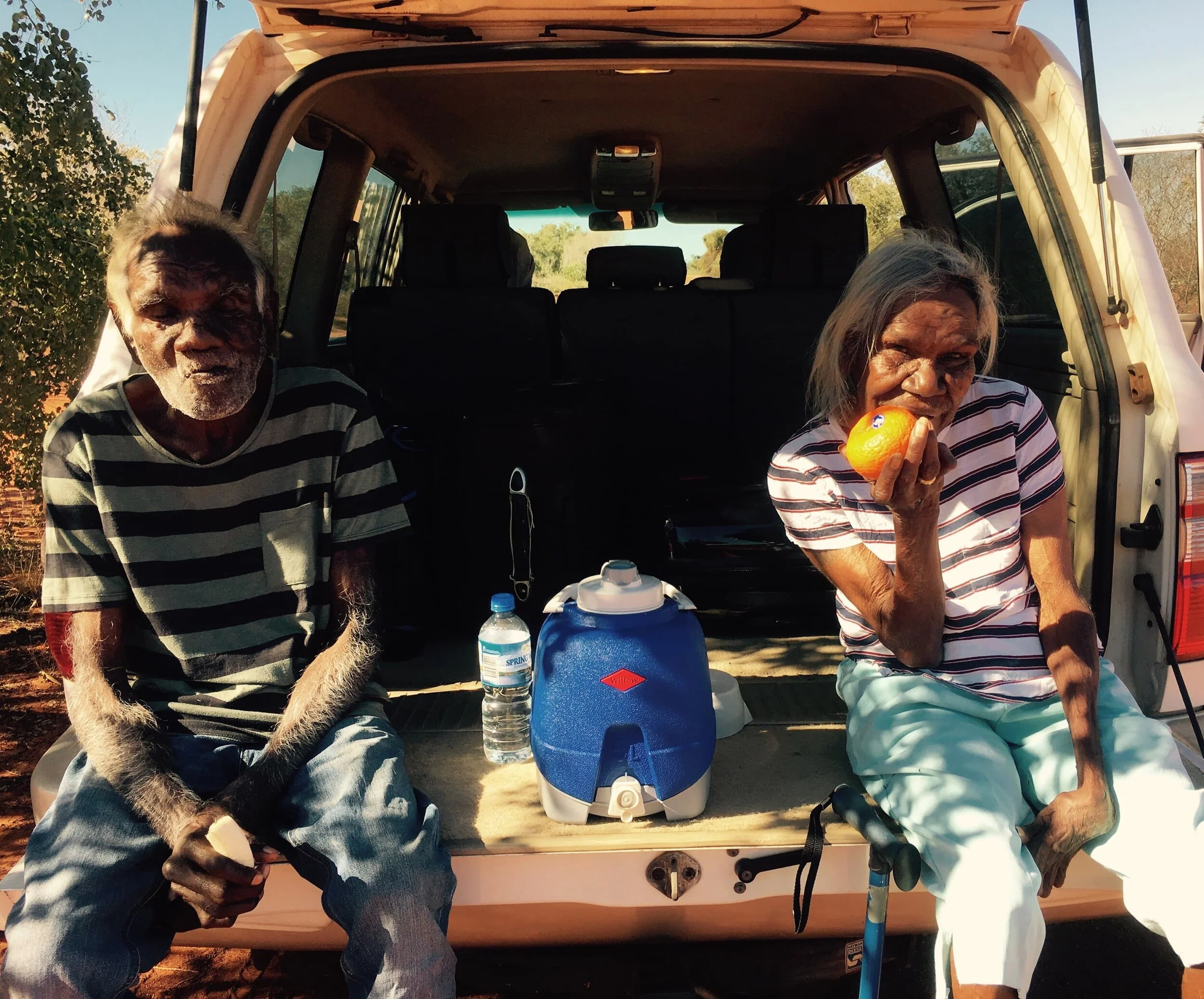 This is how we see 'em | Sydney — Spinifex Hill Studio