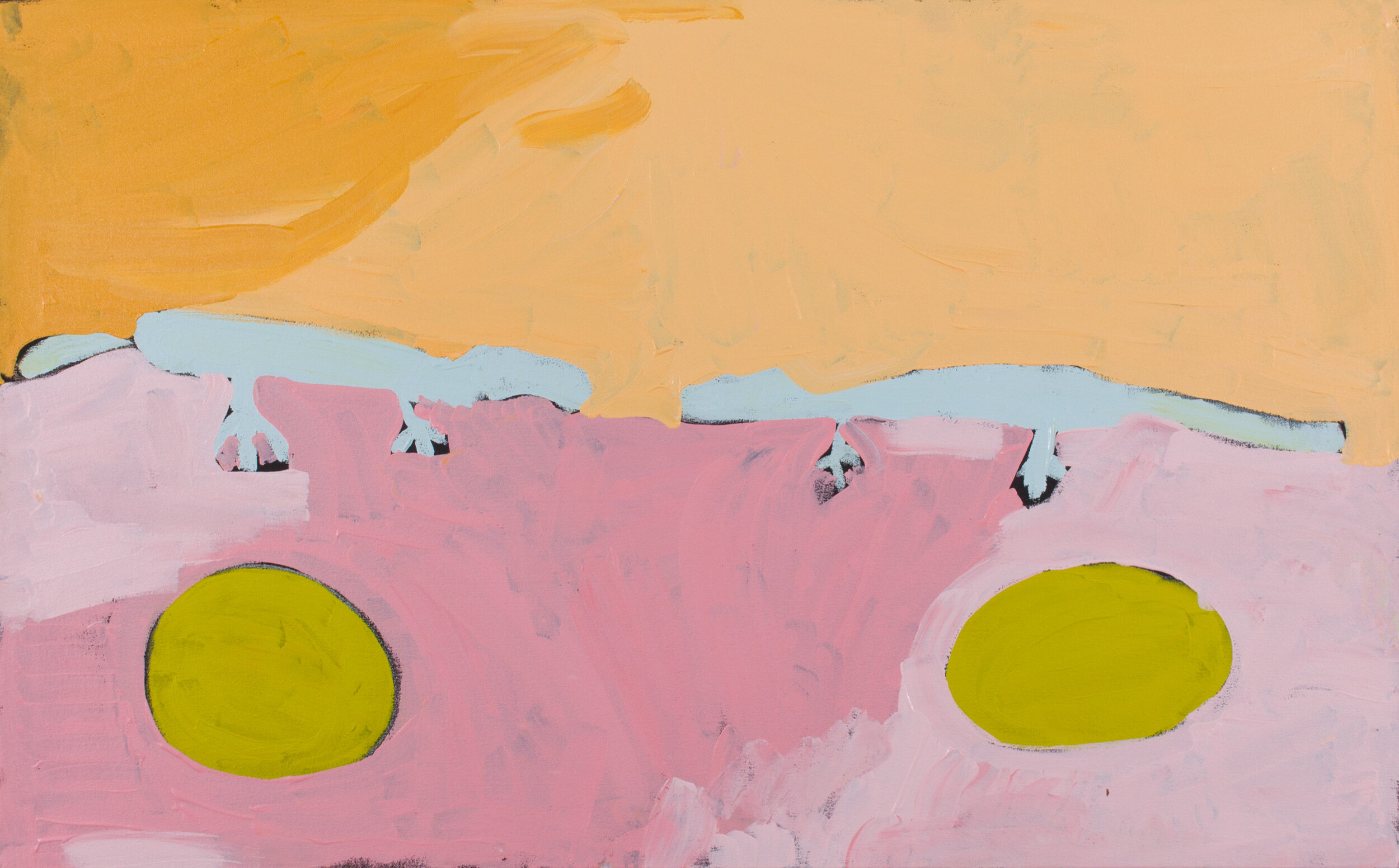 Doreen Chapman — Spinifex Hill Studio