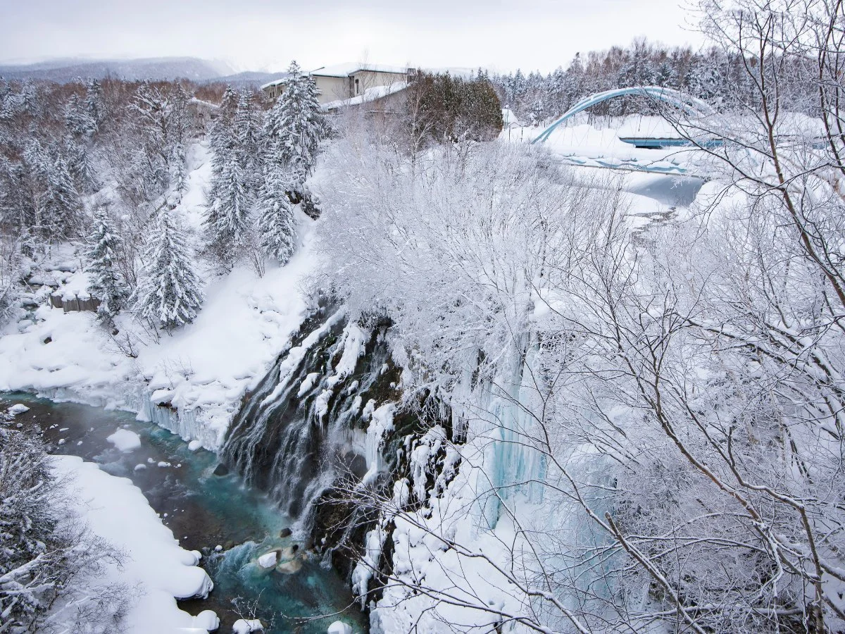 Winter Hokkaido Itinerary: 7 Days for Nature Lovers & 12 Best Things to ...