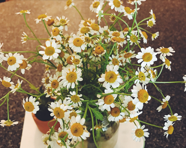 Virtual spring cleaning — The Wheel