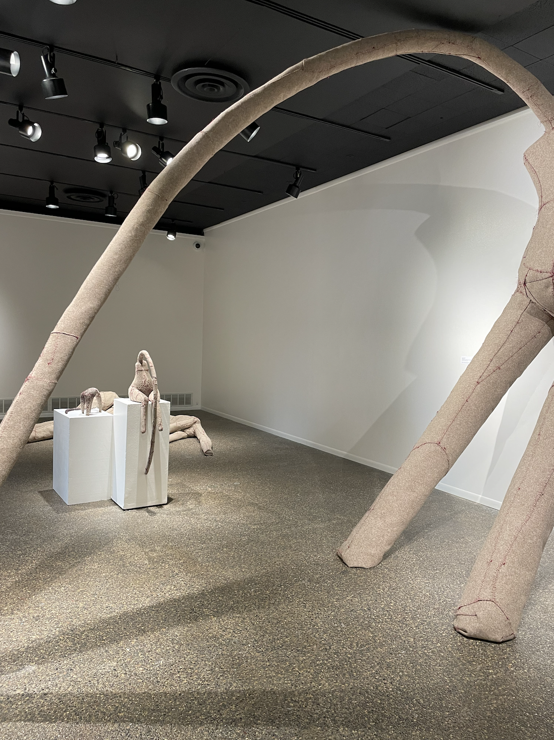 Catherine G. Murphy Gallery welcomes new exhibits — The Wheel