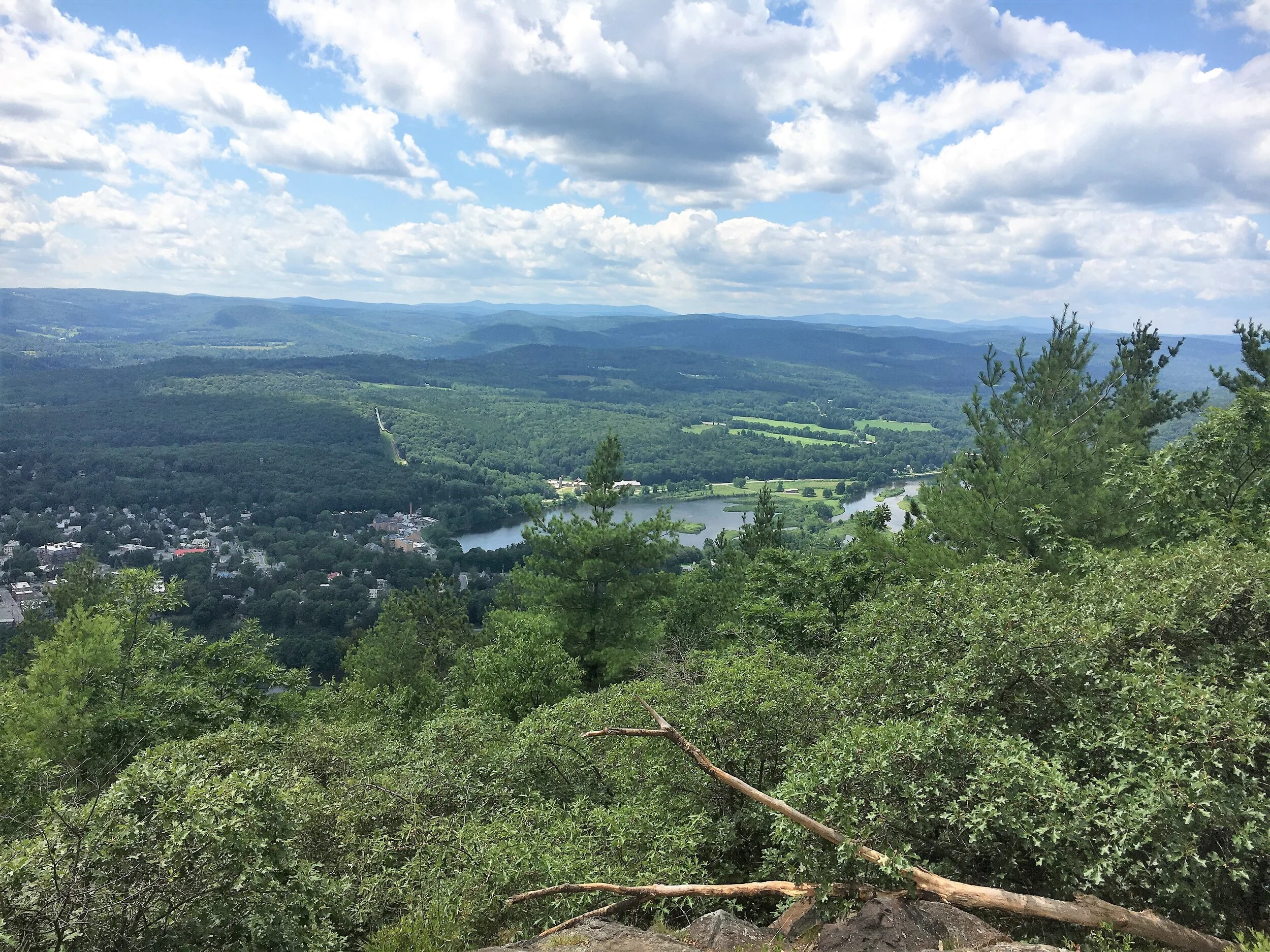 Back to Bratt (part of the Florida Blog series) — TLC