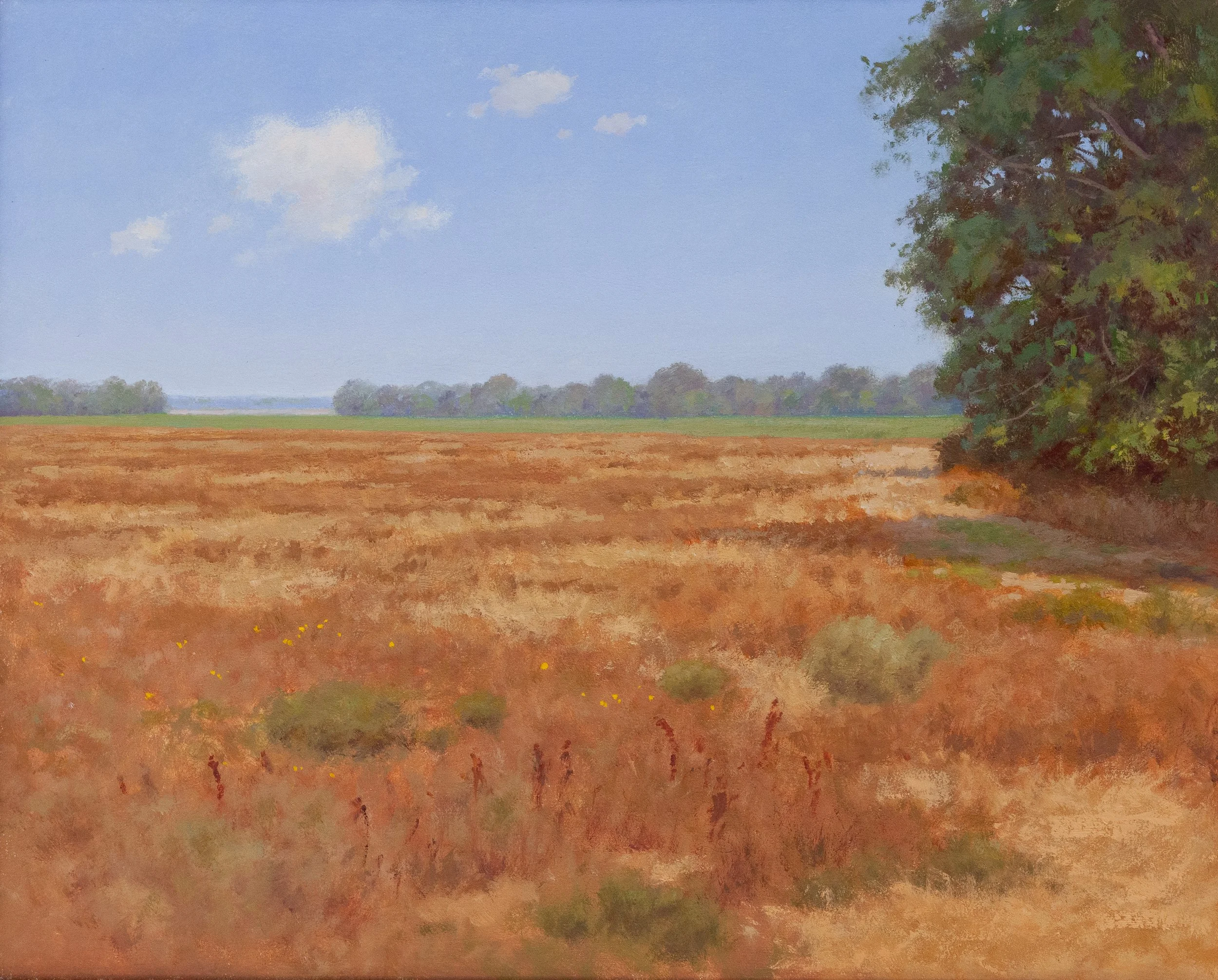 Richard Kelso – Fischer Galleries, Ridgeland, Mississippi