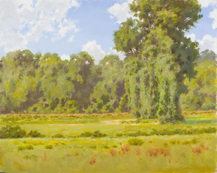 Fischer Galleries, Ridgeland, Mississippi