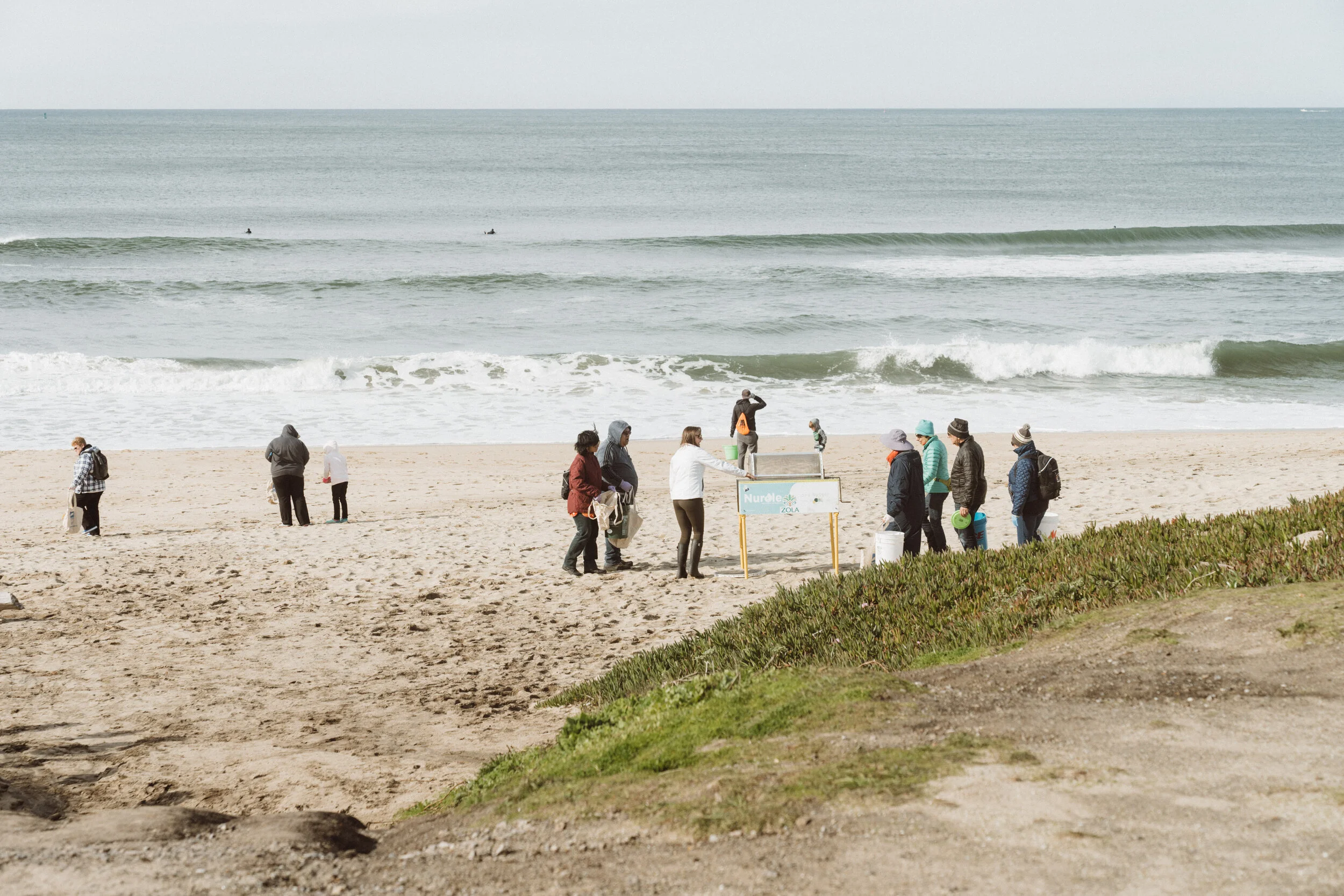 Beach Clean-Ups — SEA HUGGER