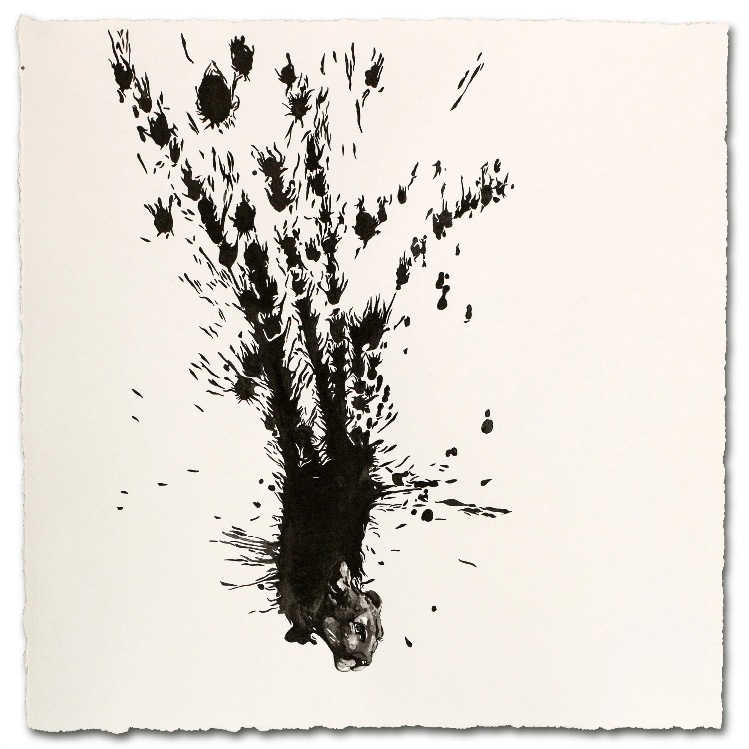 Christopher Reiger