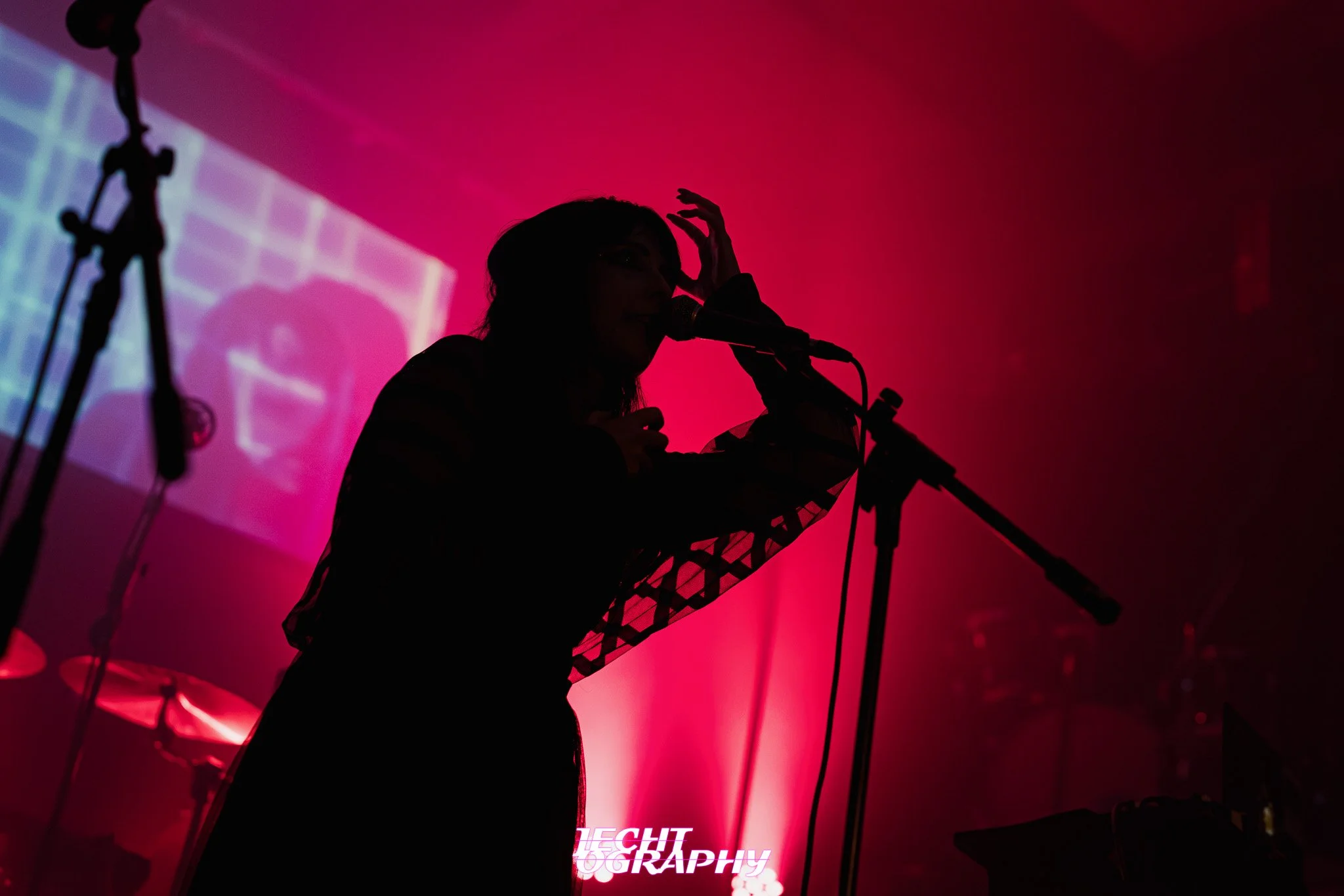 Wallowitch plays Valhalla - Gathering Shadows 2024 — Jechtography