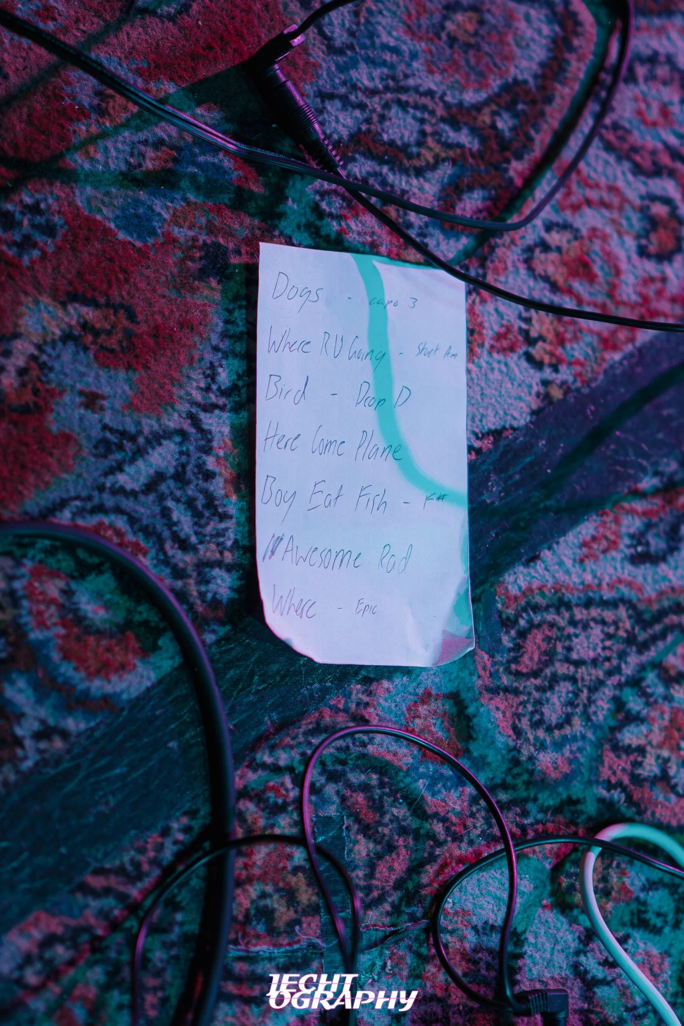 Mudgoose plays Meow - WALLFLOWER VOODOO BLOO MUDGOOSE — Jechtography