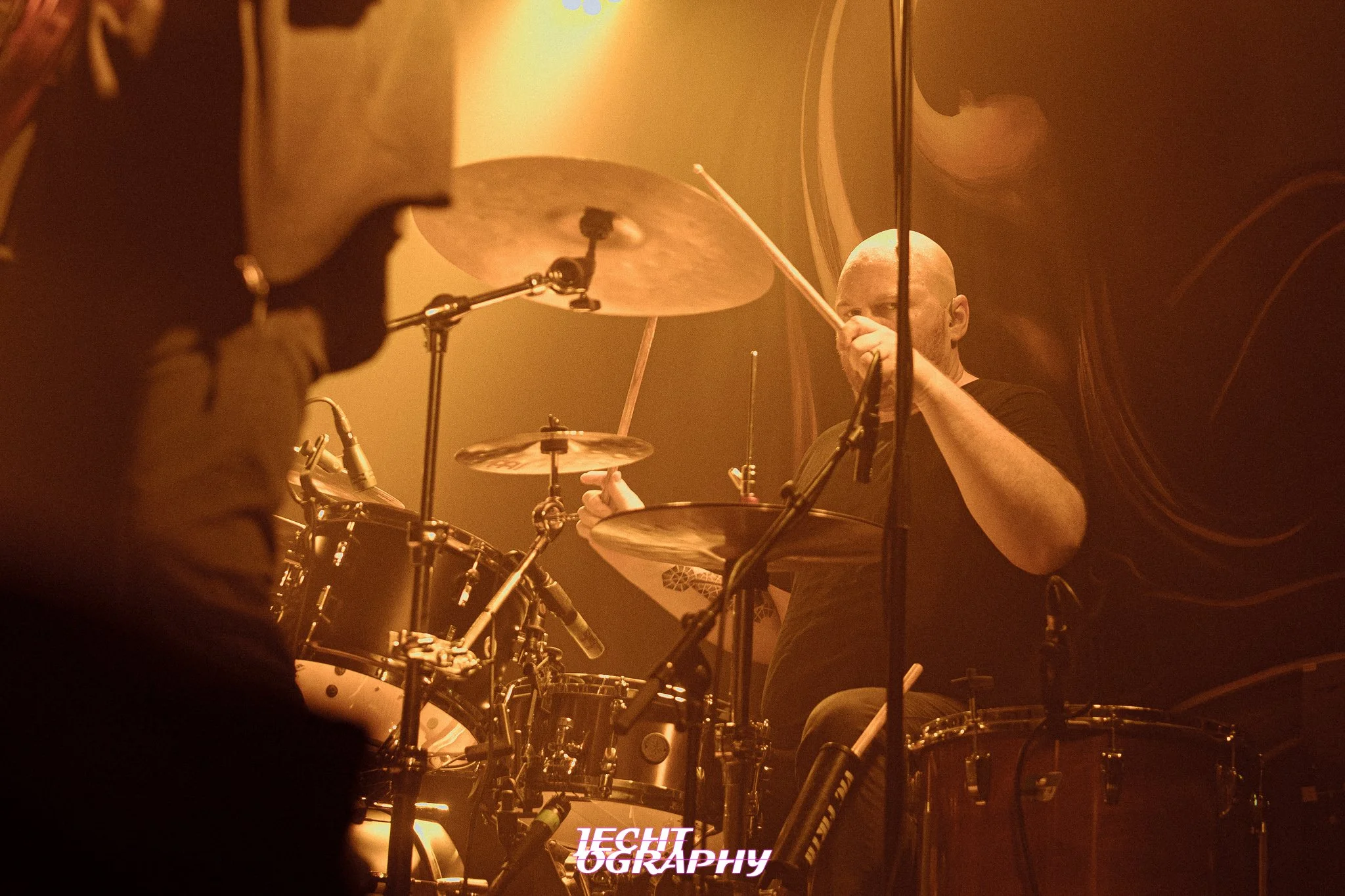 Caligulas Horse plays Meow - Caligulas Horse NZ Tour 2024 — Jechtography