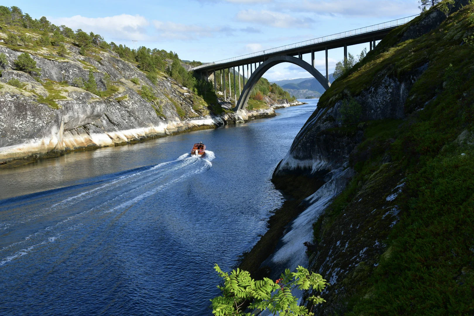 Sommer i Efjord — Ofoten OPPLEVELSER