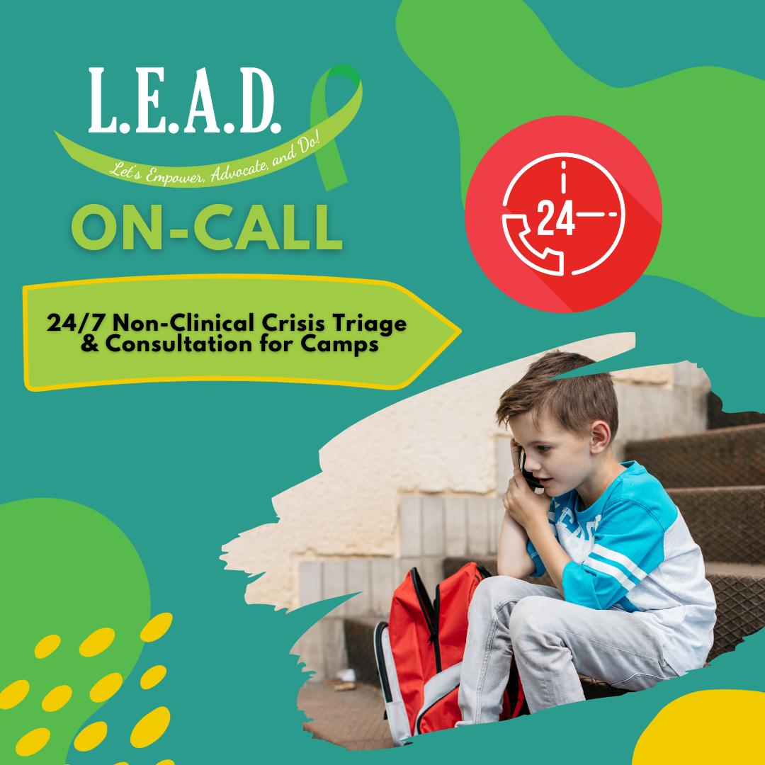 Summer Camps — Let's Empower, Advocate, and Do Inc.