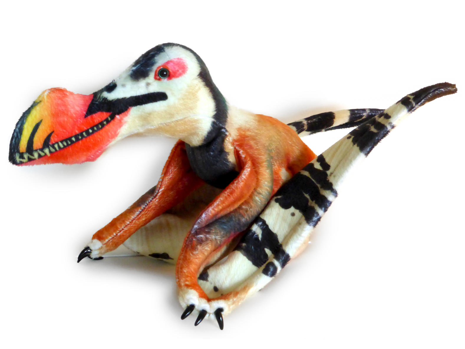 Ornithocheirus simus — PALÆOPLUSHIES