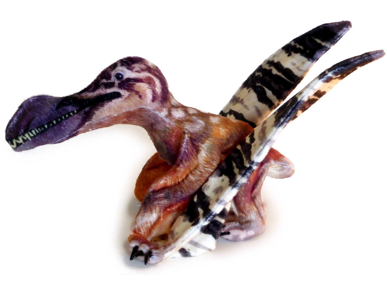 Ornithocheirus simus — PALÆOPLUSHIES