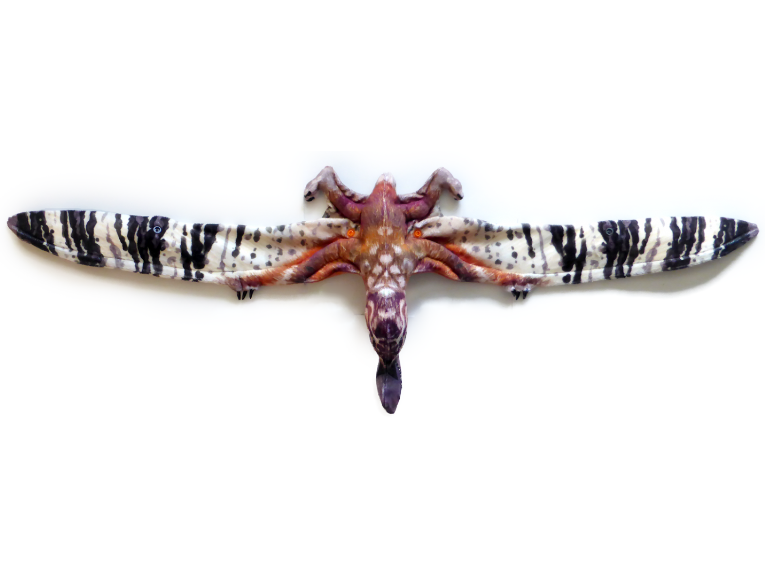 Ornithocheirus simus — PALÆOPLUSHIES