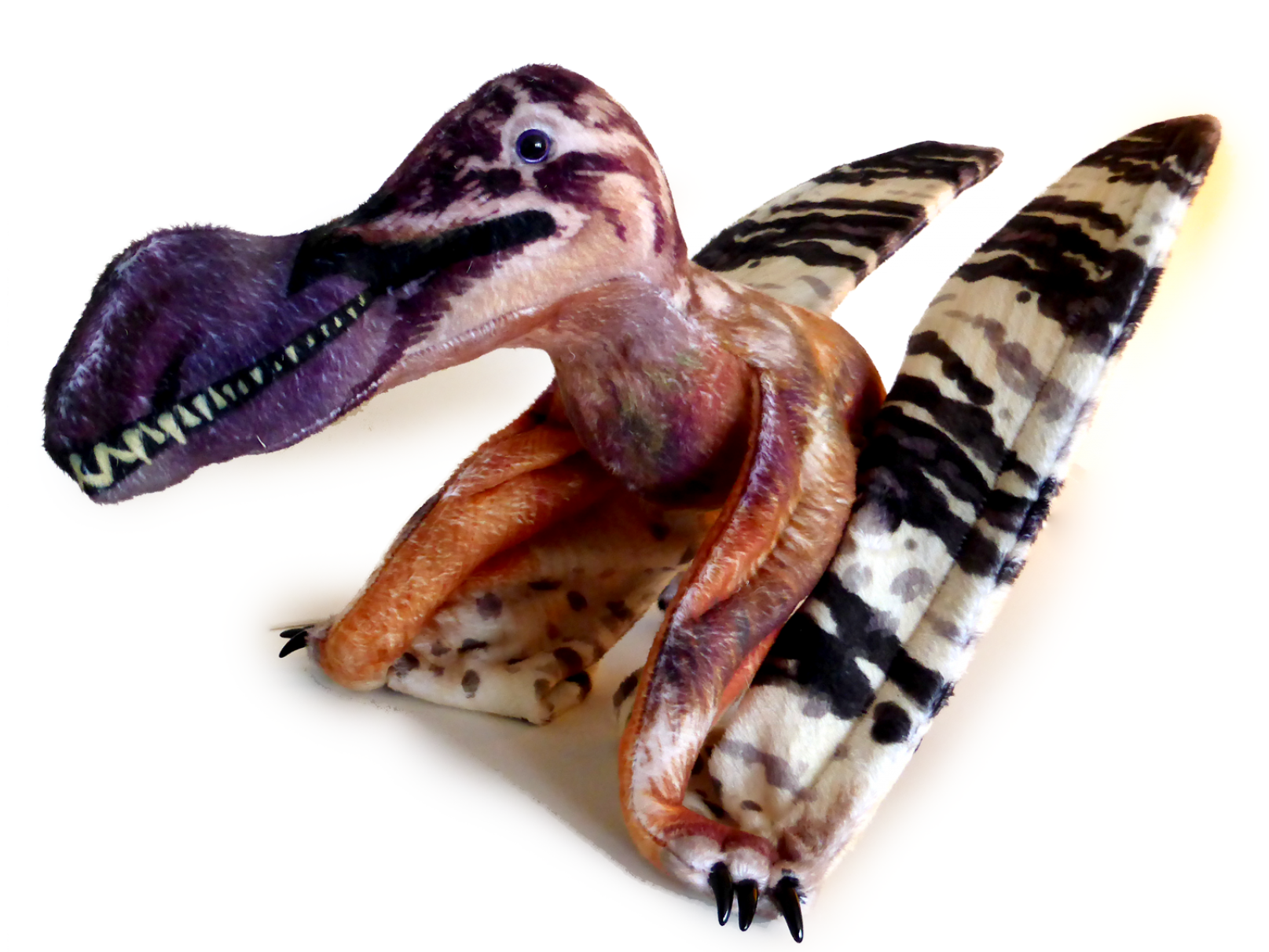 Ornithocheirus simus — PALÆOPLUSHIES