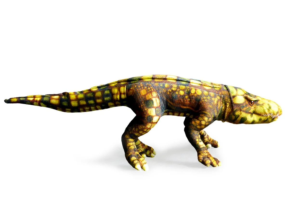 Araripesuchus wegeneri — PALÆOPLUSHIES