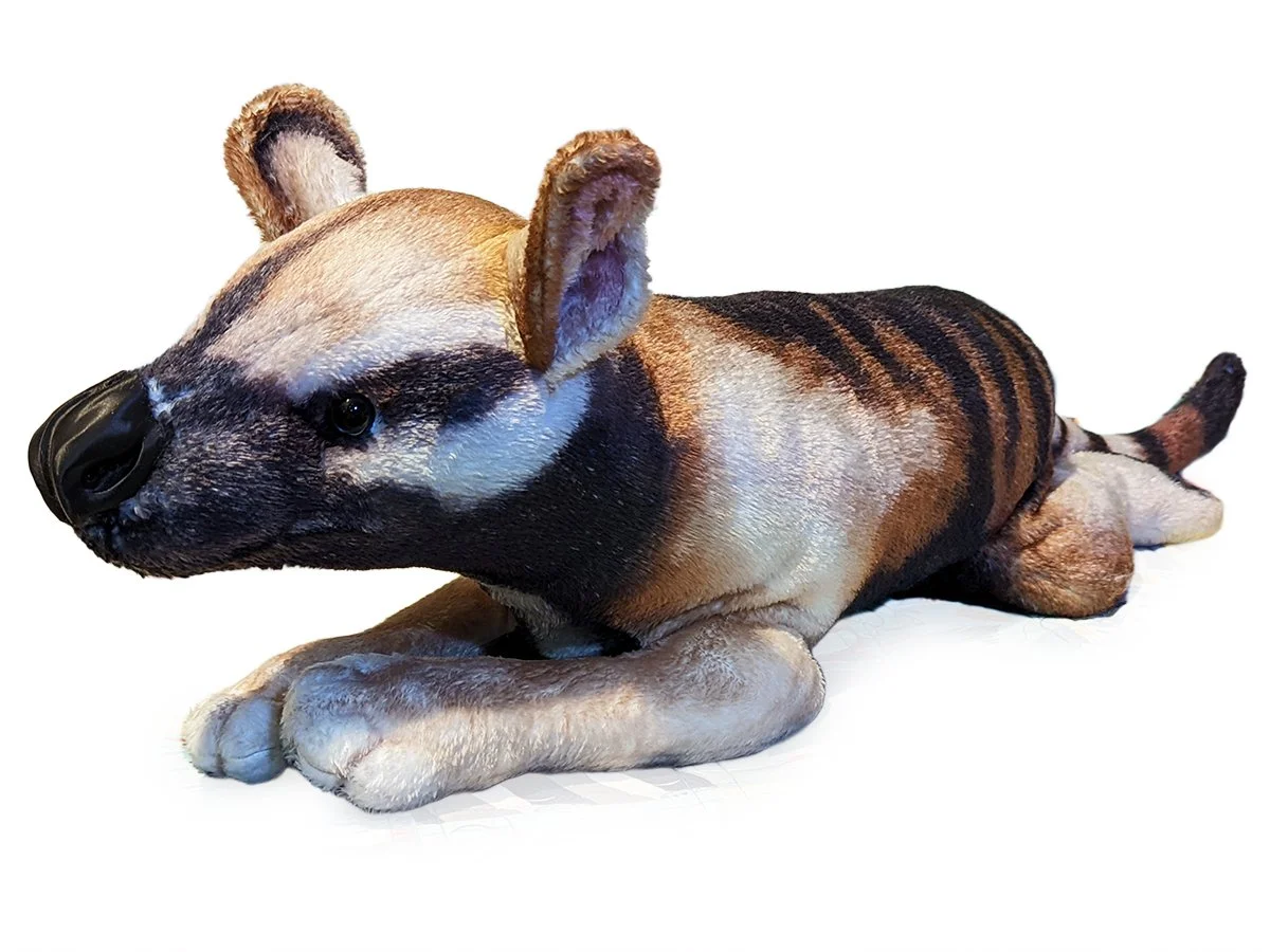 1:1 Hyaenodon microdon — PALÆOPLUSHIES