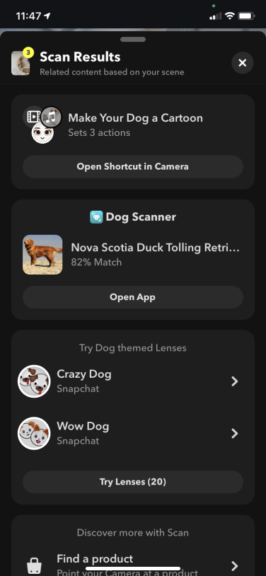 Snapchat's "Scan" Tool Becoming Central to App — Dooley Social Studio