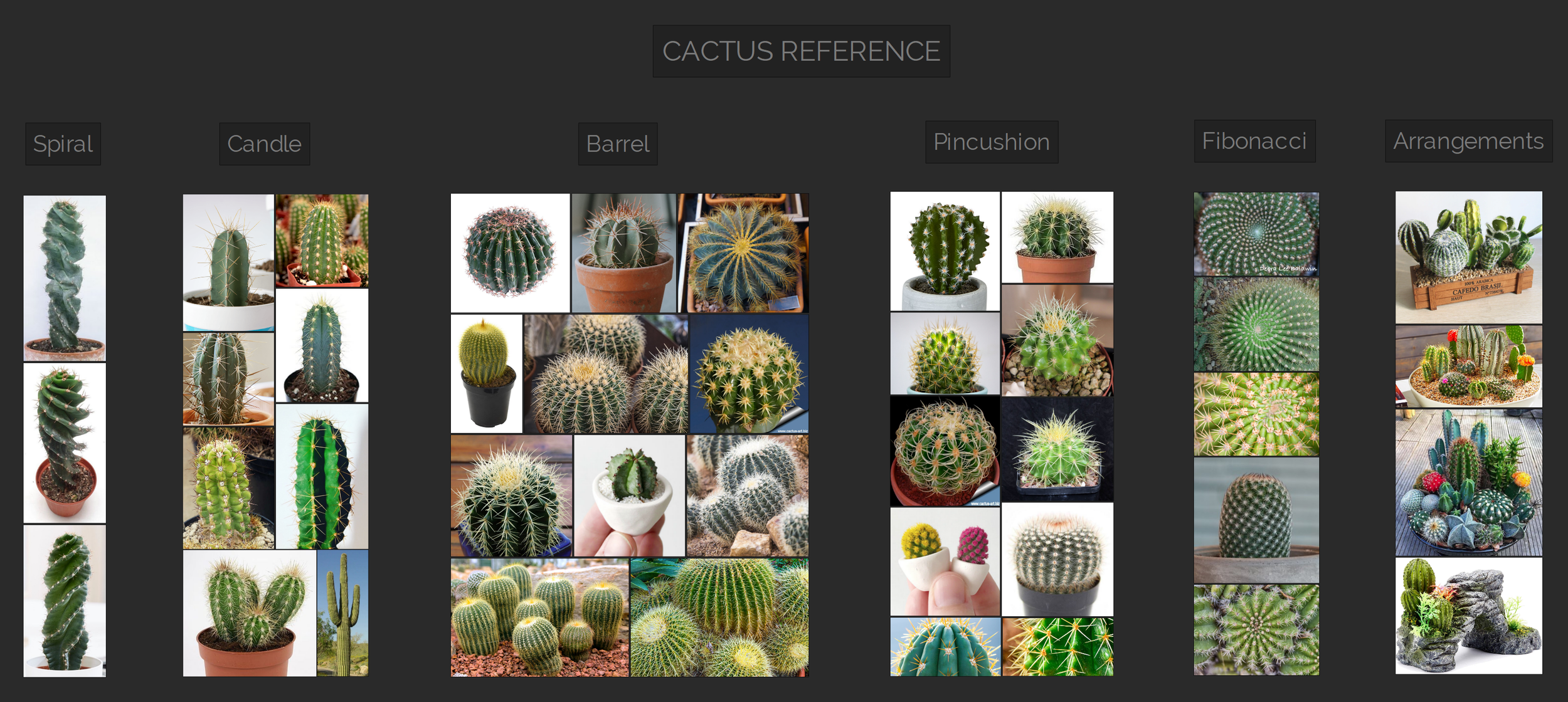 Procedural Modeling in Houdini - Cactus Generator — Marco de Goeij