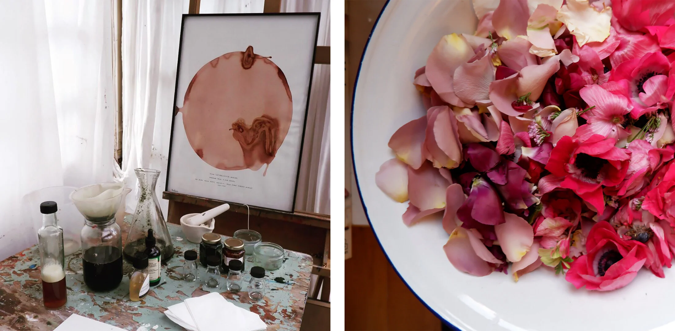 Art in a Time of Climate Crisis: Part II — A La Luz