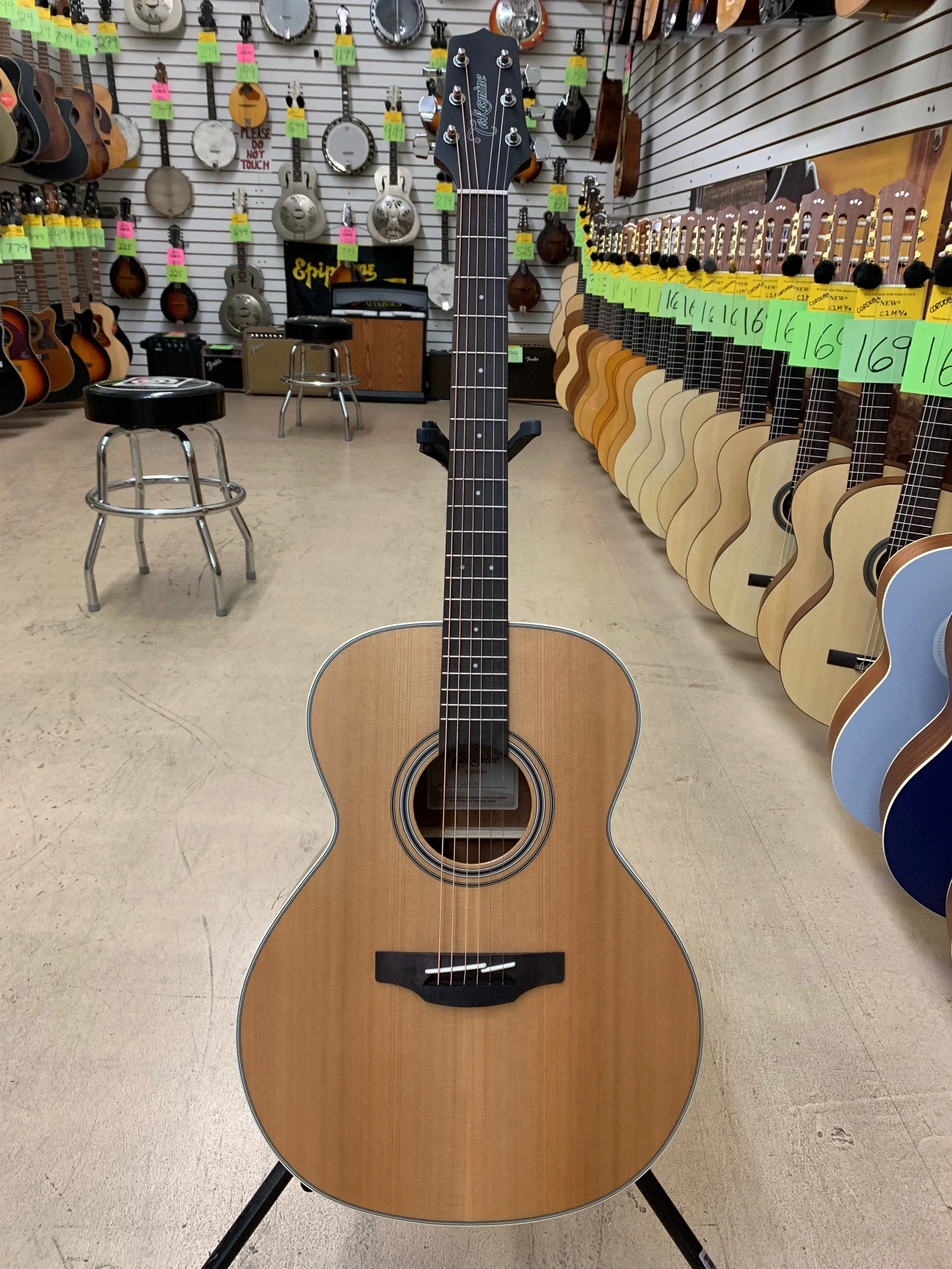 Takamine Acoustic Guitars — Bizarre Guitar