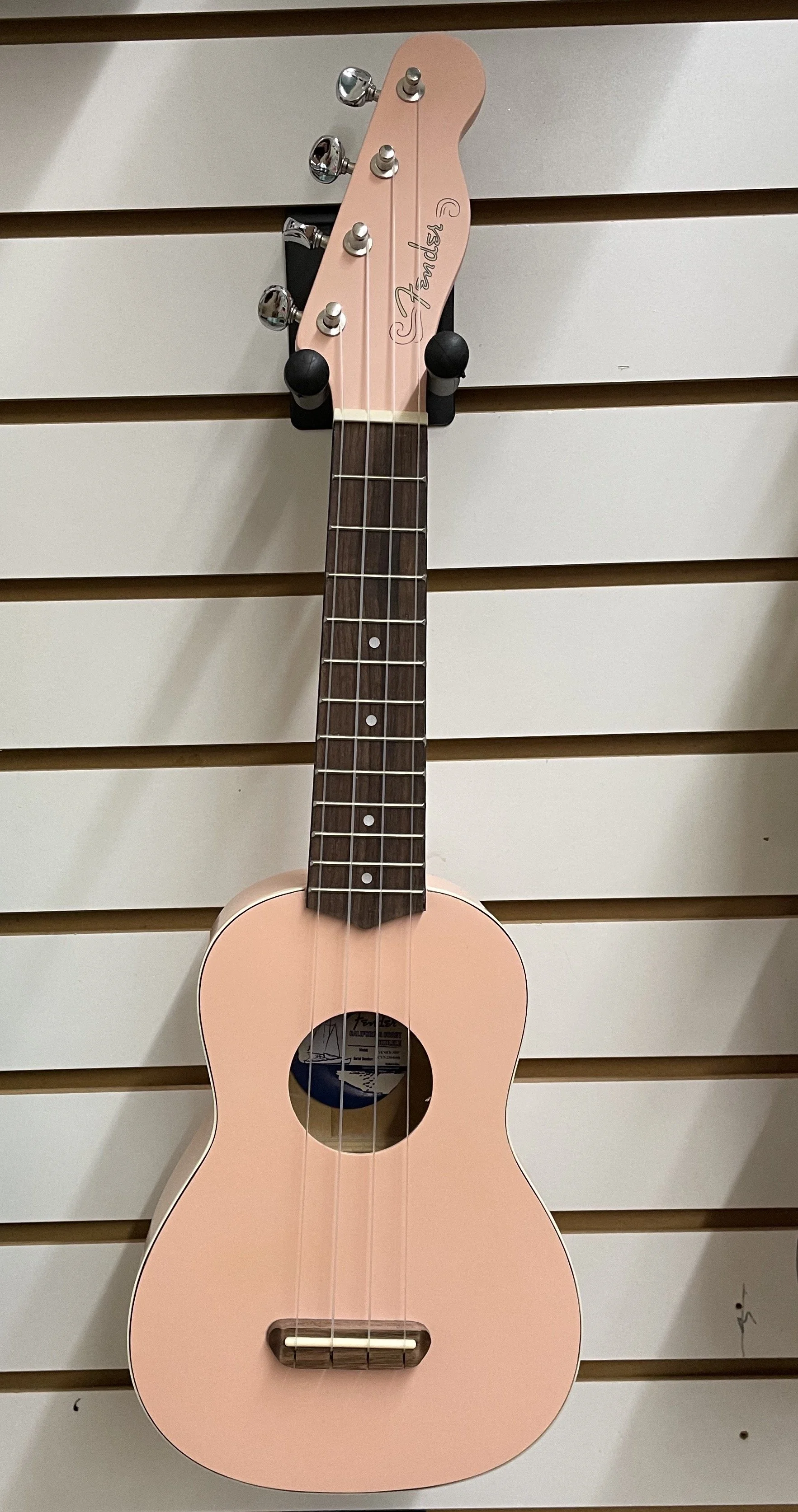 Ukulele, Mandolin, Banjo, Resonator — Bizarre Guitar