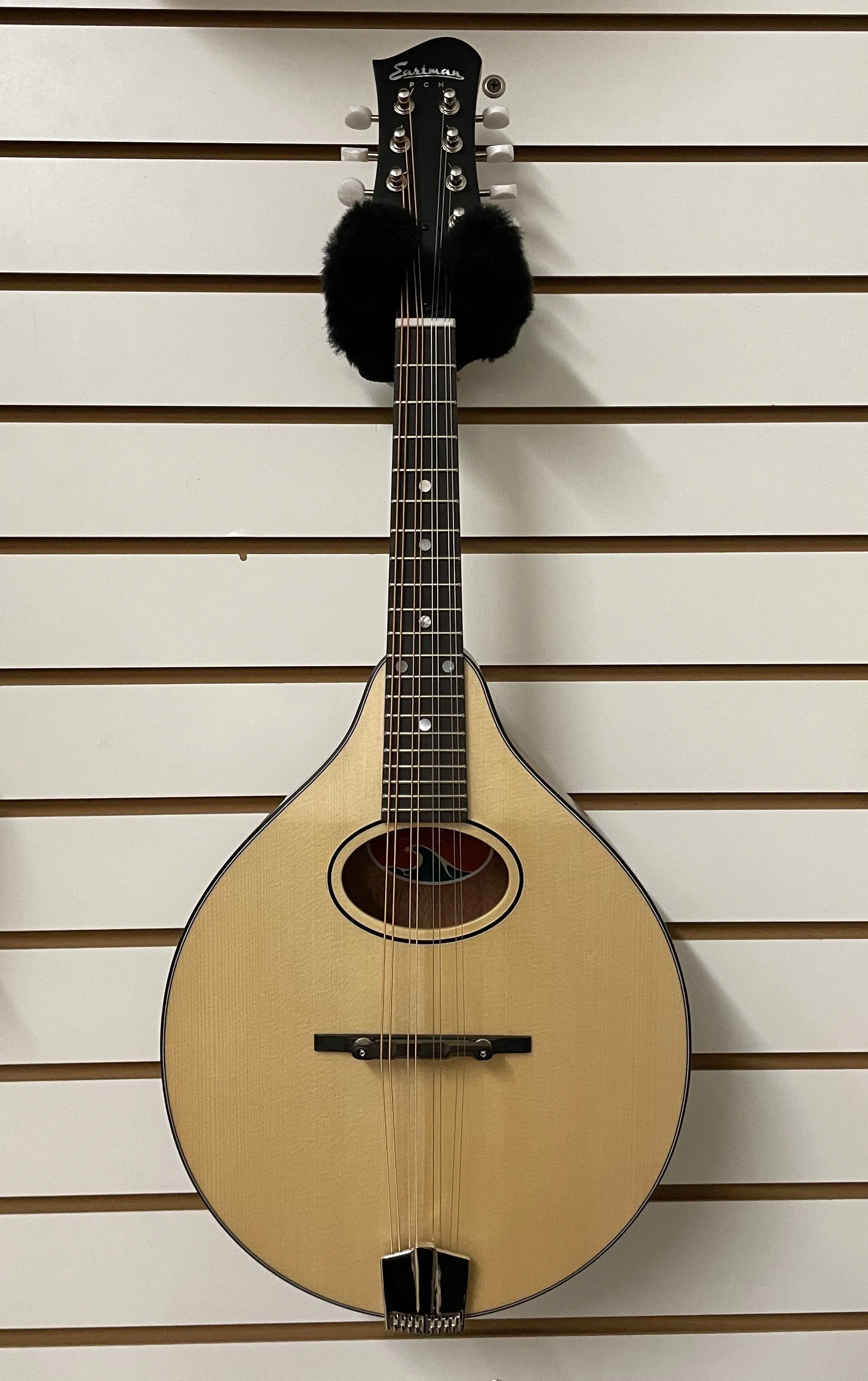 Ukulele, Mandolin, Banjo, Resonator — Bizarre Guitar