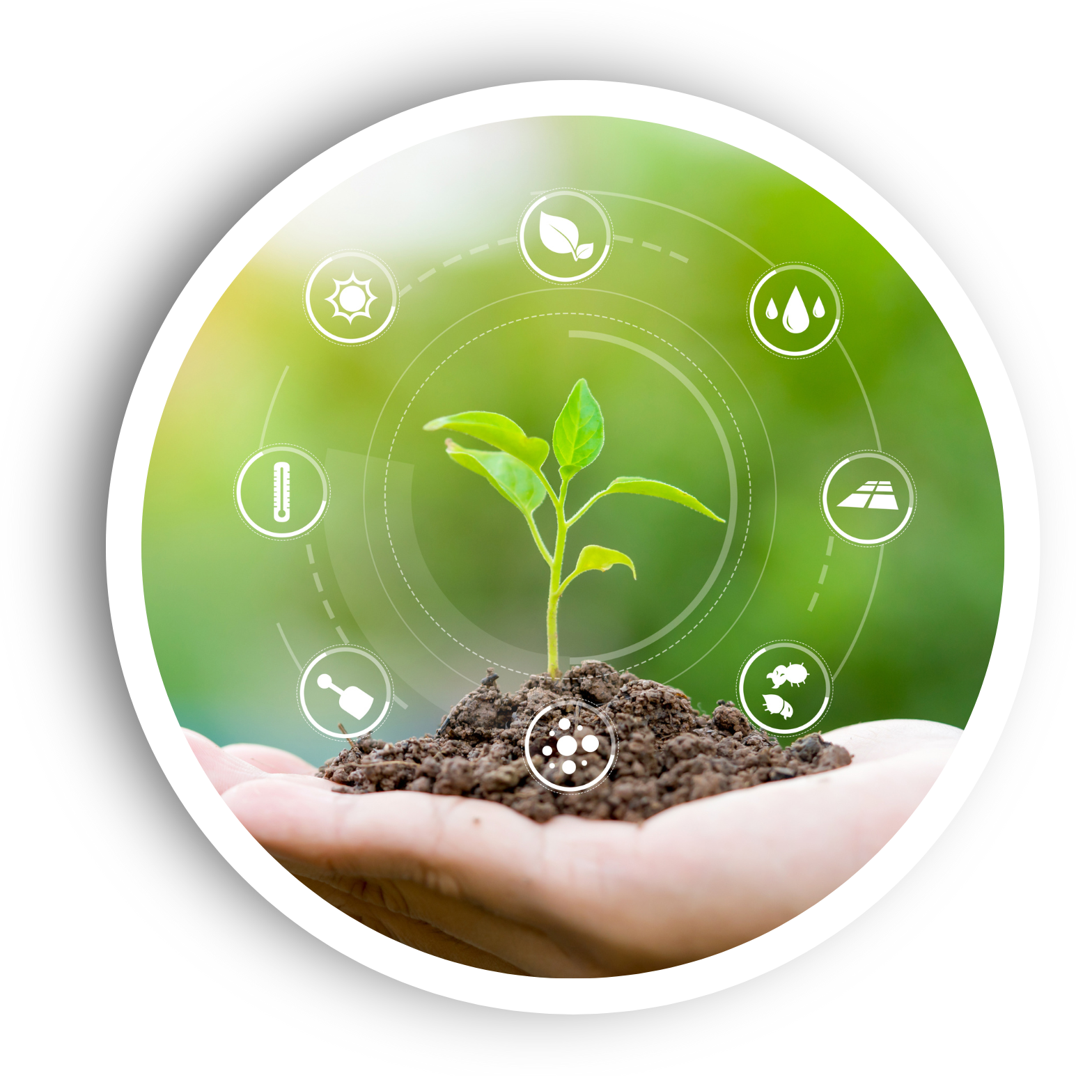 Undergraduate Research Experience in Innovative Agricultural ...