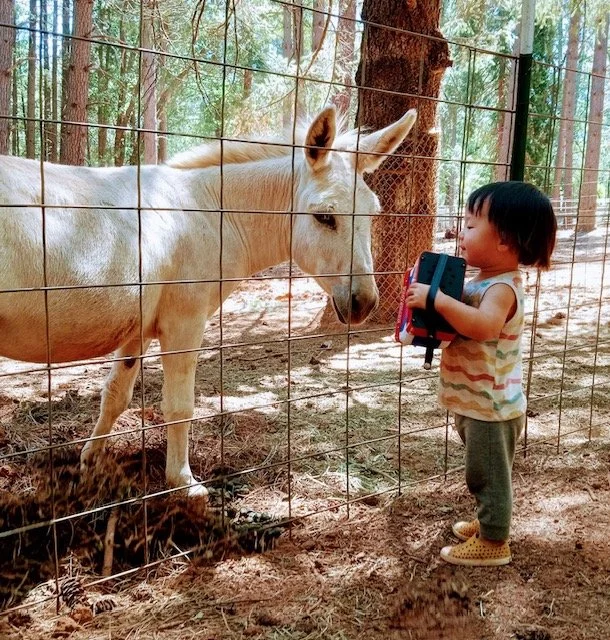 Residency @ Iona House — Iona House