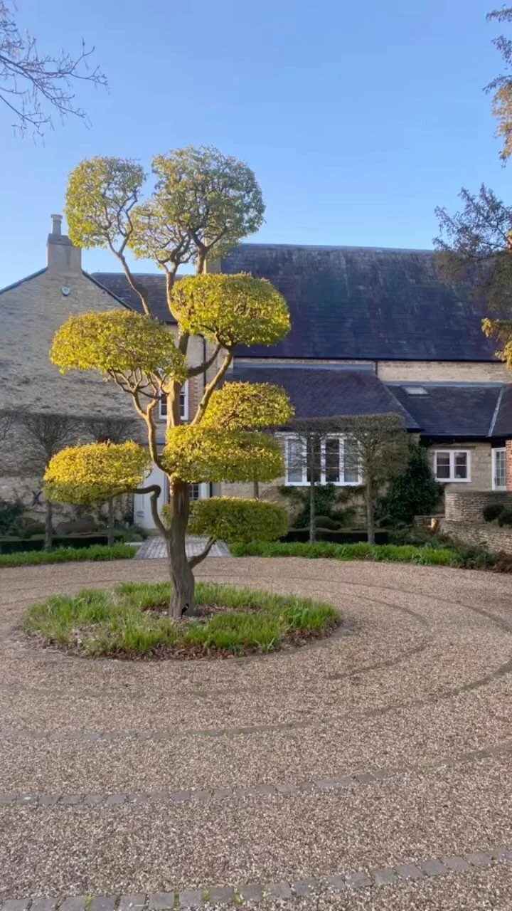 Latest blogs — Quinton Old Rectory Garden