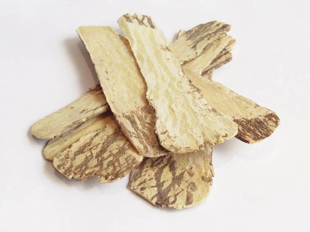 Astragalus Root Benefits