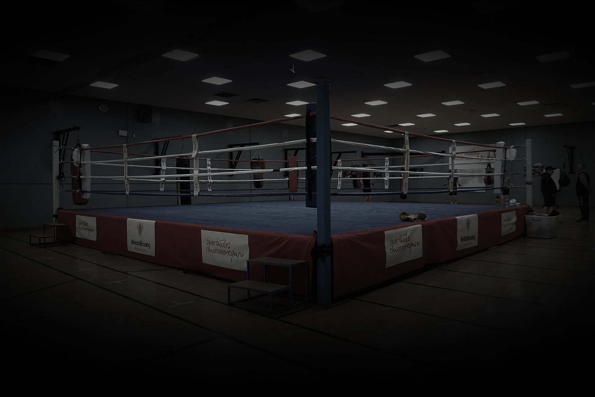 Welsh Boxing | The home of the Welsh Amateur Boxing Association (WABA)