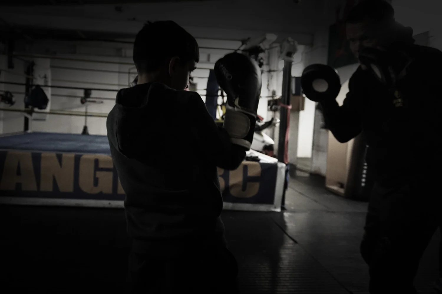 Welsh Boxing | The home of the Welsh Amateur Boxing Association (WABA)