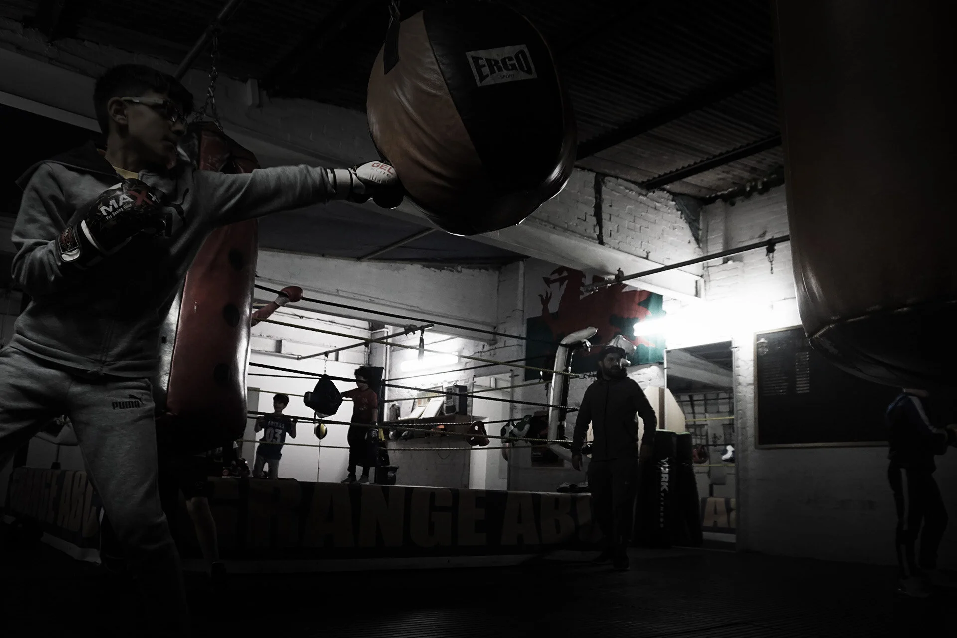 Welsh Boxing | The home of the Welsh Amateur Boxing Association (WABA)
