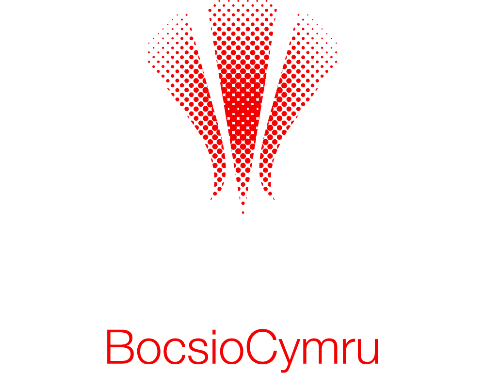 Welsh Boxing | The home of the Welsh Amateur Boxing Association (WABA)
