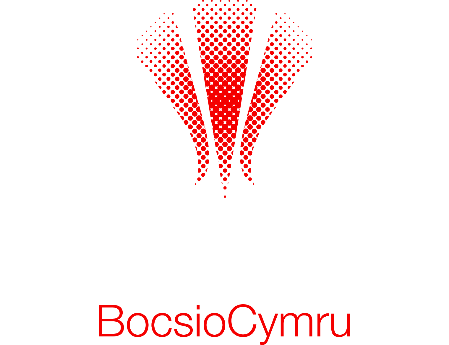 Welsh Boxing | The home of the Welsh Amateur Boxing Association (WABA)