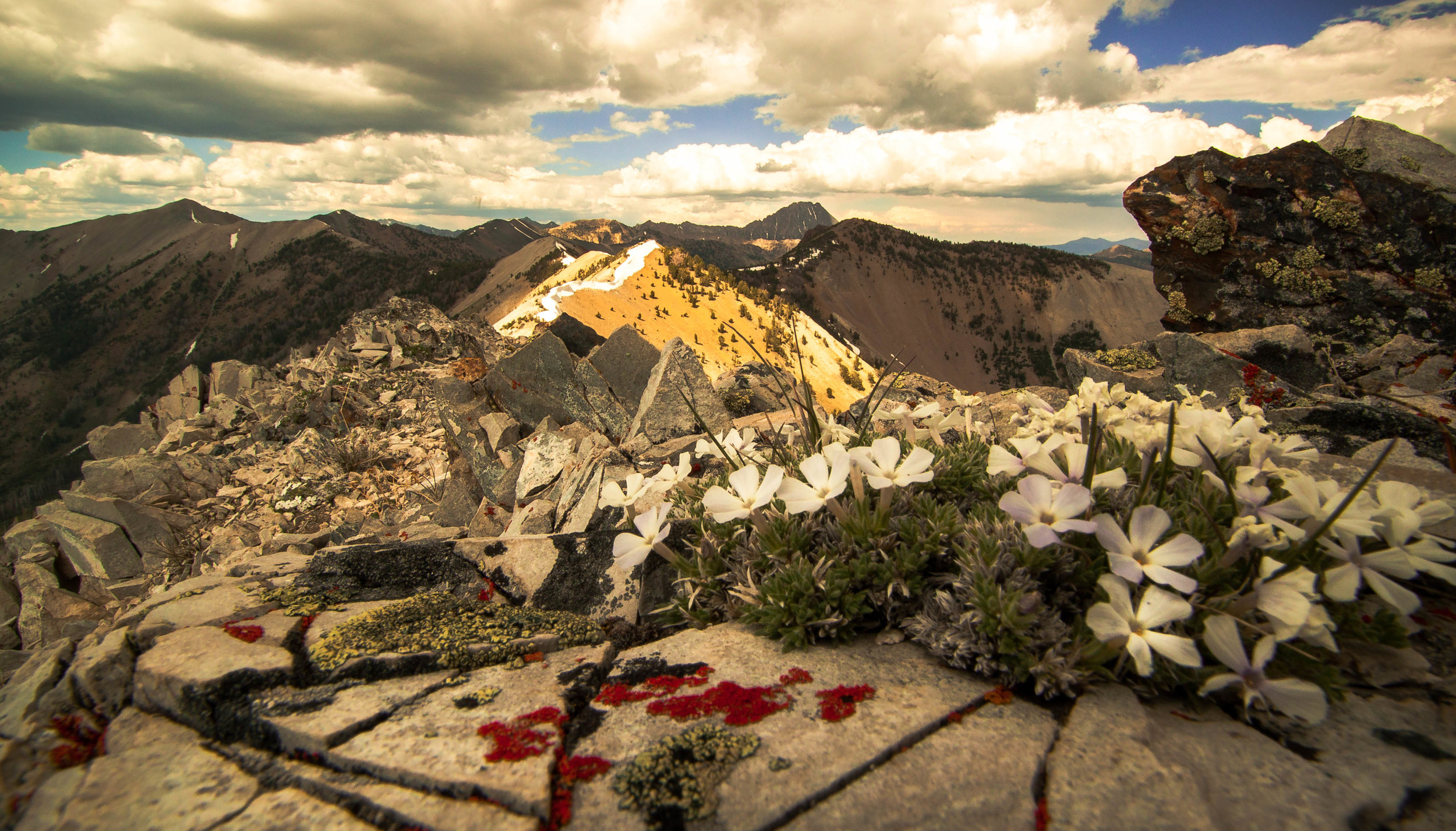 The Boulder-White Clouds — Adam Gulick Photography