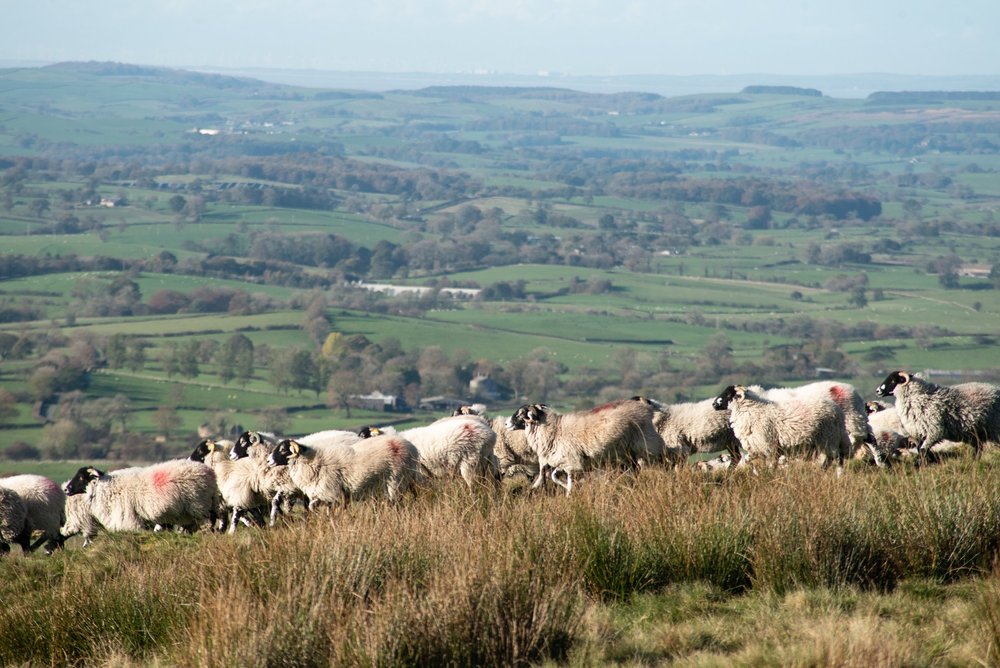 Events — Foundation for Common Land