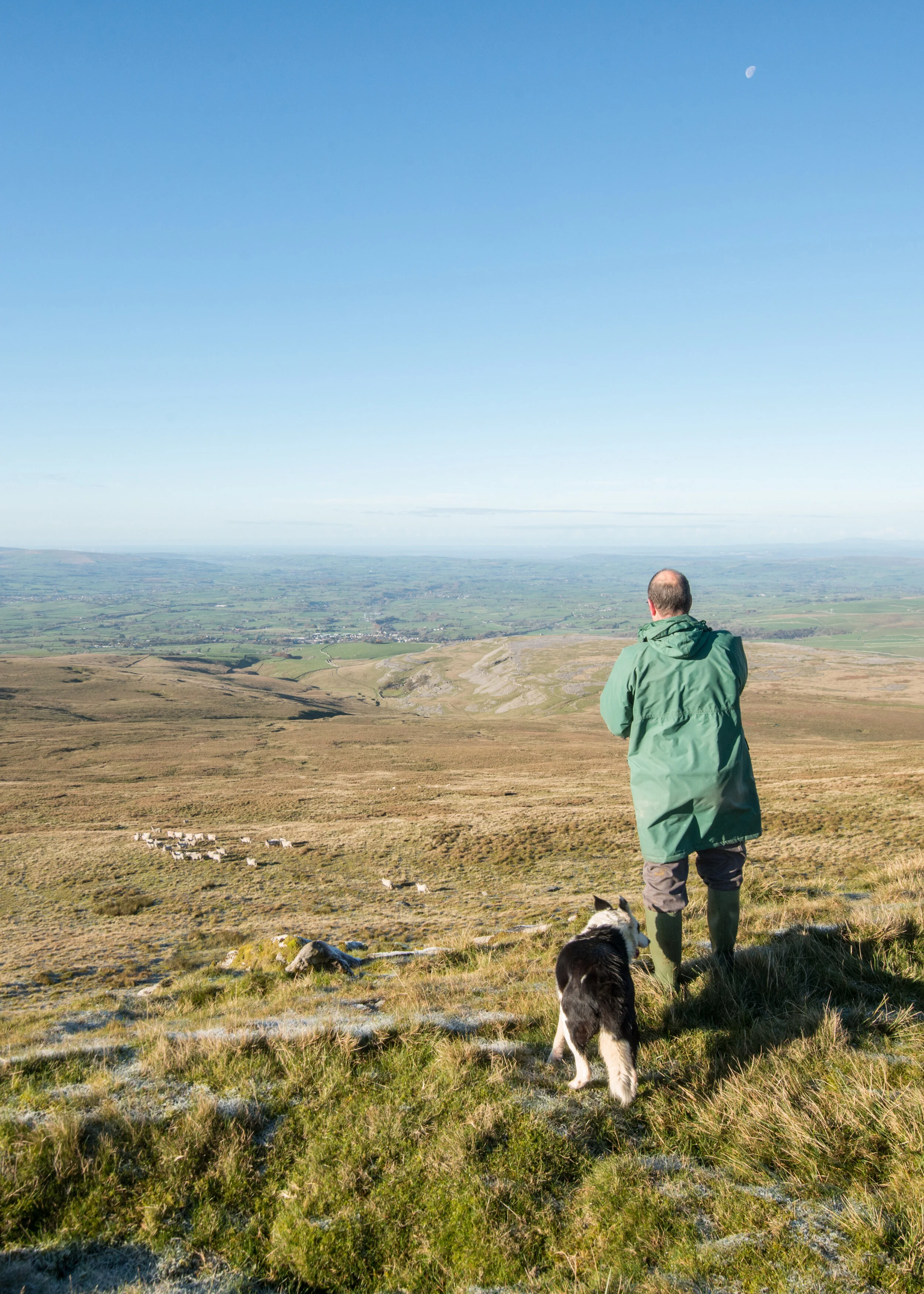 A Guide to Common Land and Commoning — Foundation for Common Land