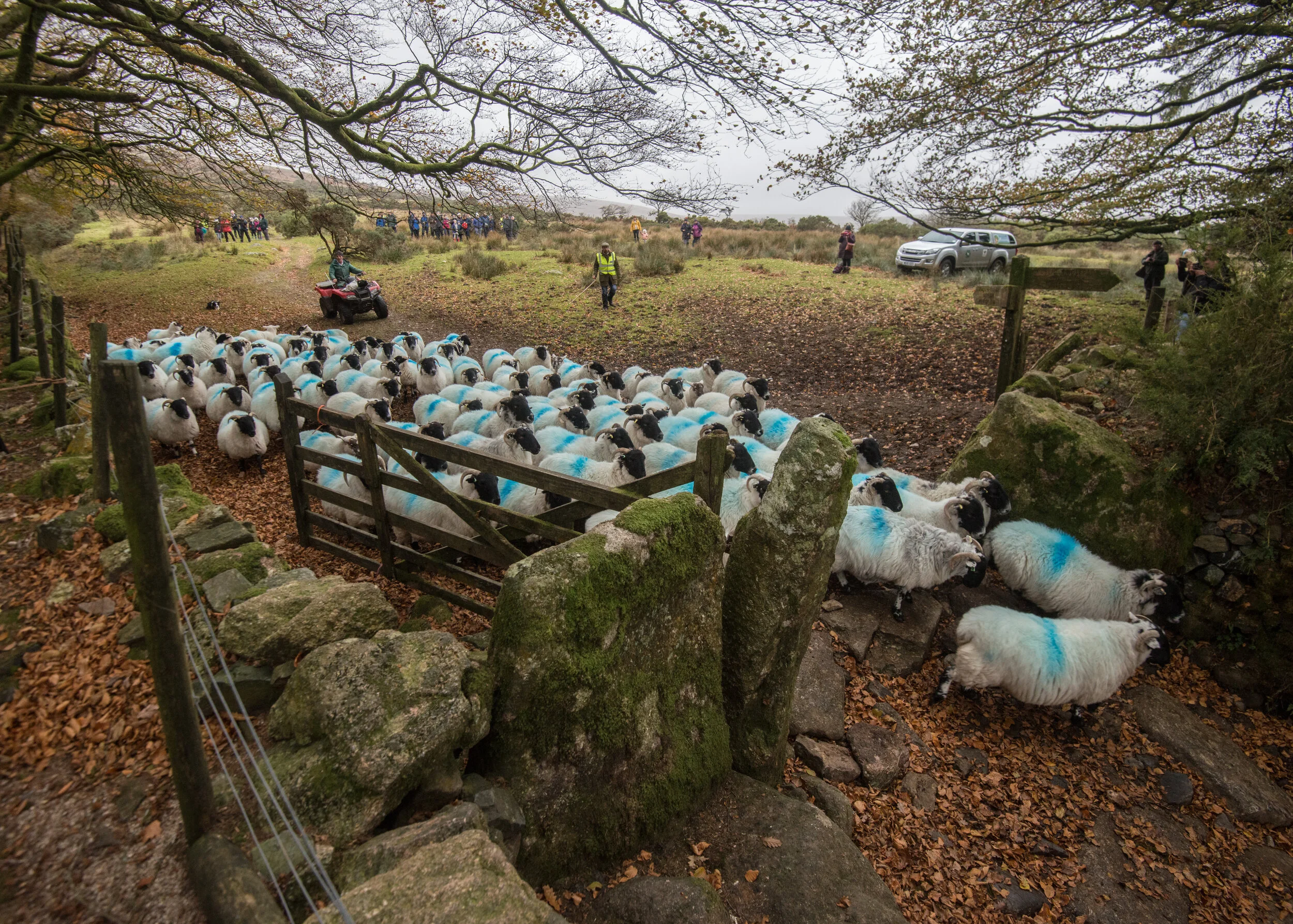 A Guide to Common Land and Commoning — Foundation for Common Land