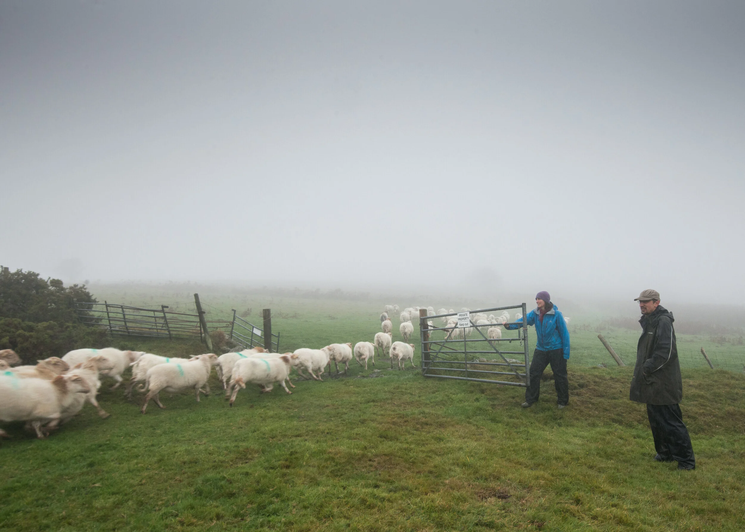 A Guide to Common Land and Commoning — Foundation for Common Land