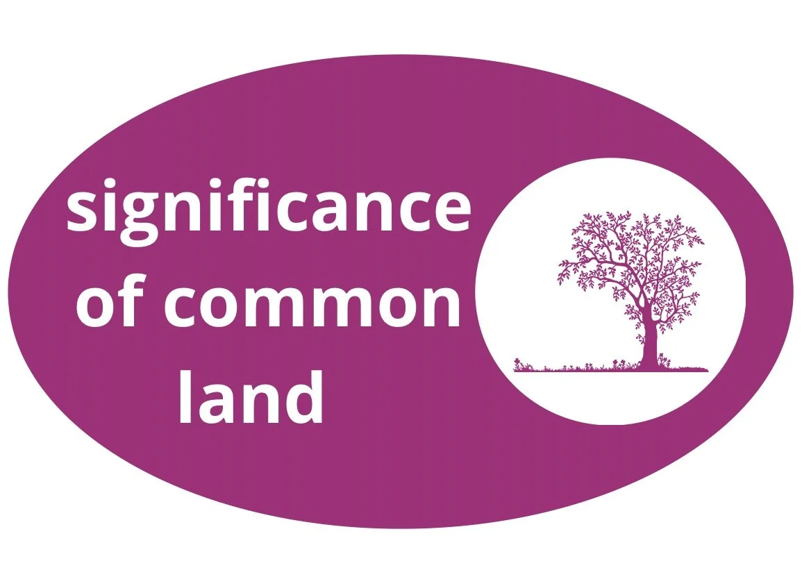 Information Hub — Foundation for Common Land