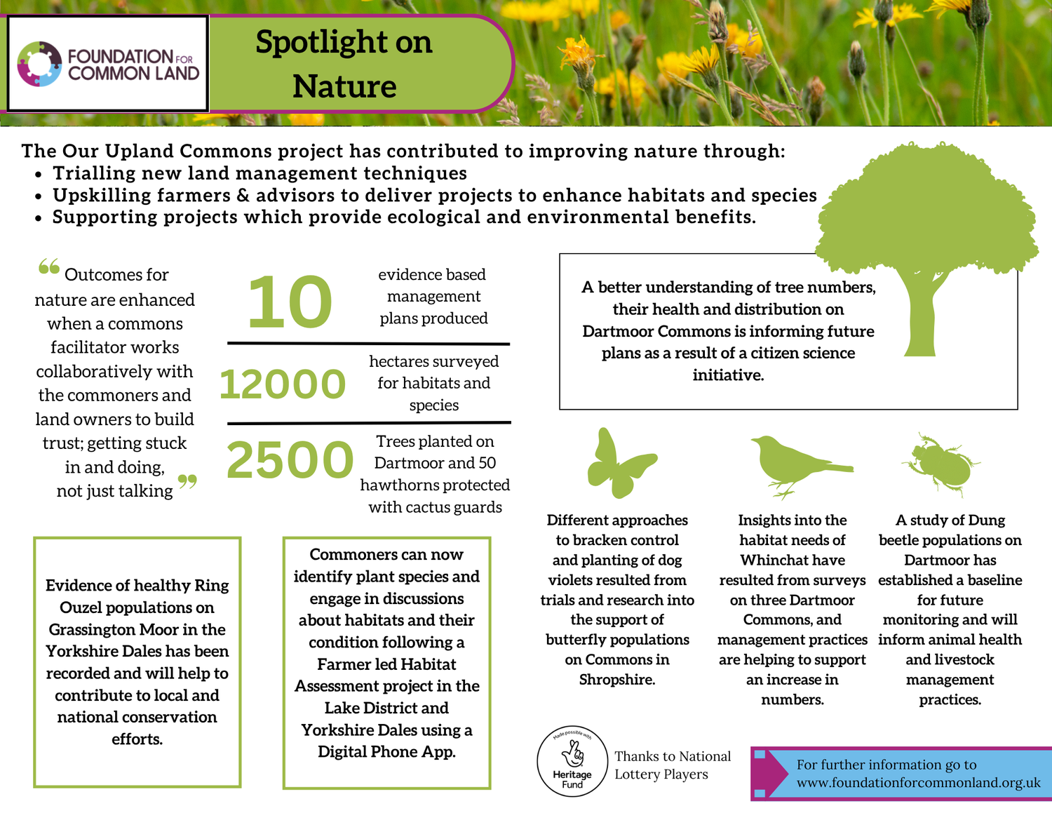 Our Upland Commons — Foundation for Common Land