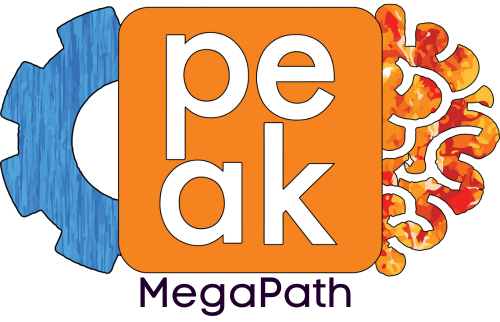 MEGAPATH — Peak Talent Capital Solutions