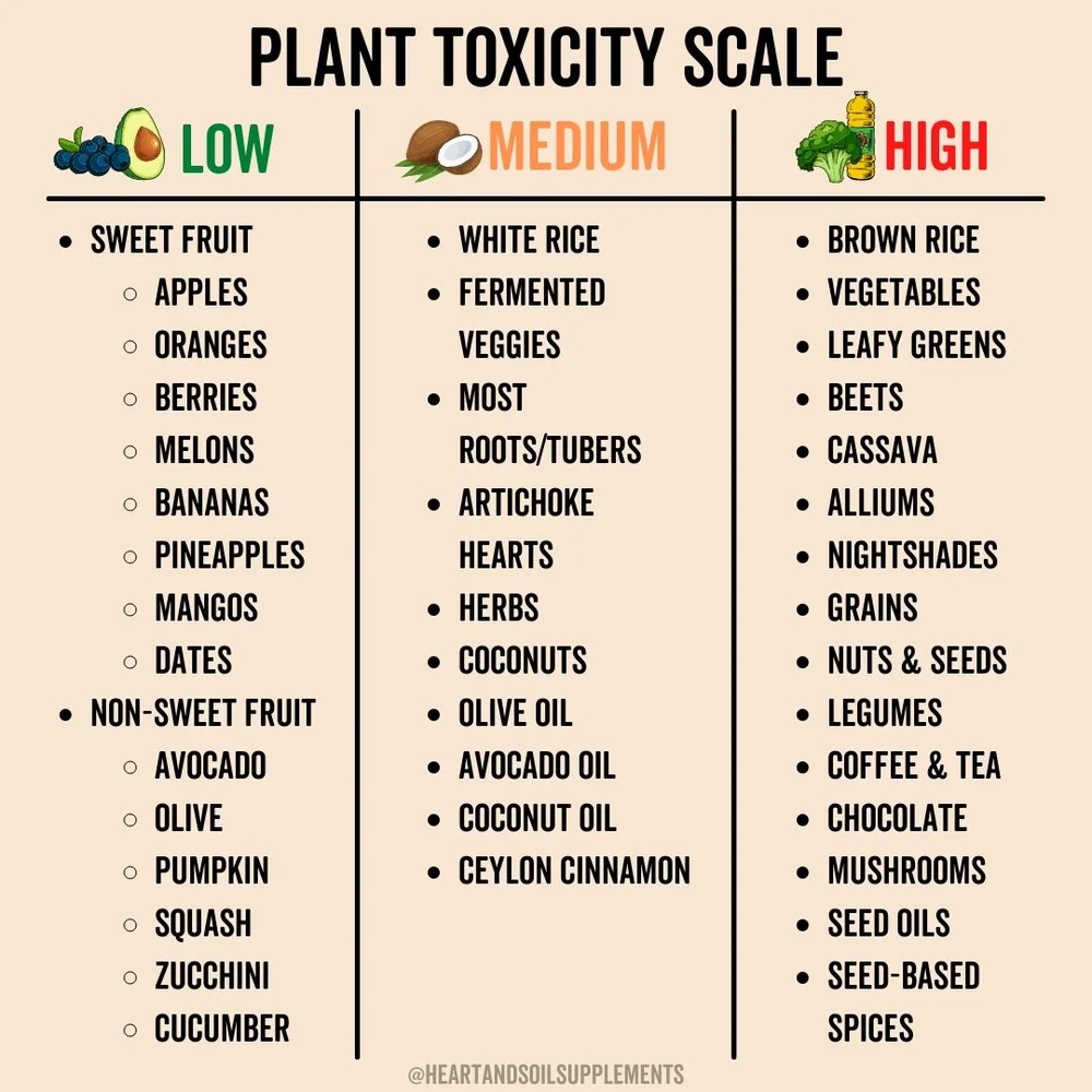 The Dark Side of Plant Foods — Dr. Jim Bentz — Fidalgo Island Health Center