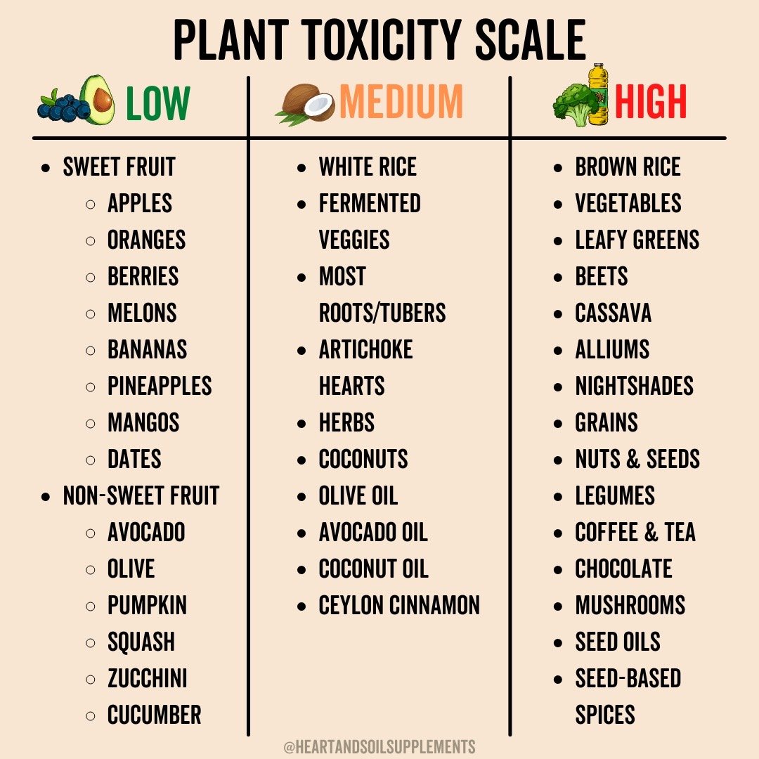 The Dark Side of Plant Foods — Dr. Jim Bentz — Fidalgo Island Health Center