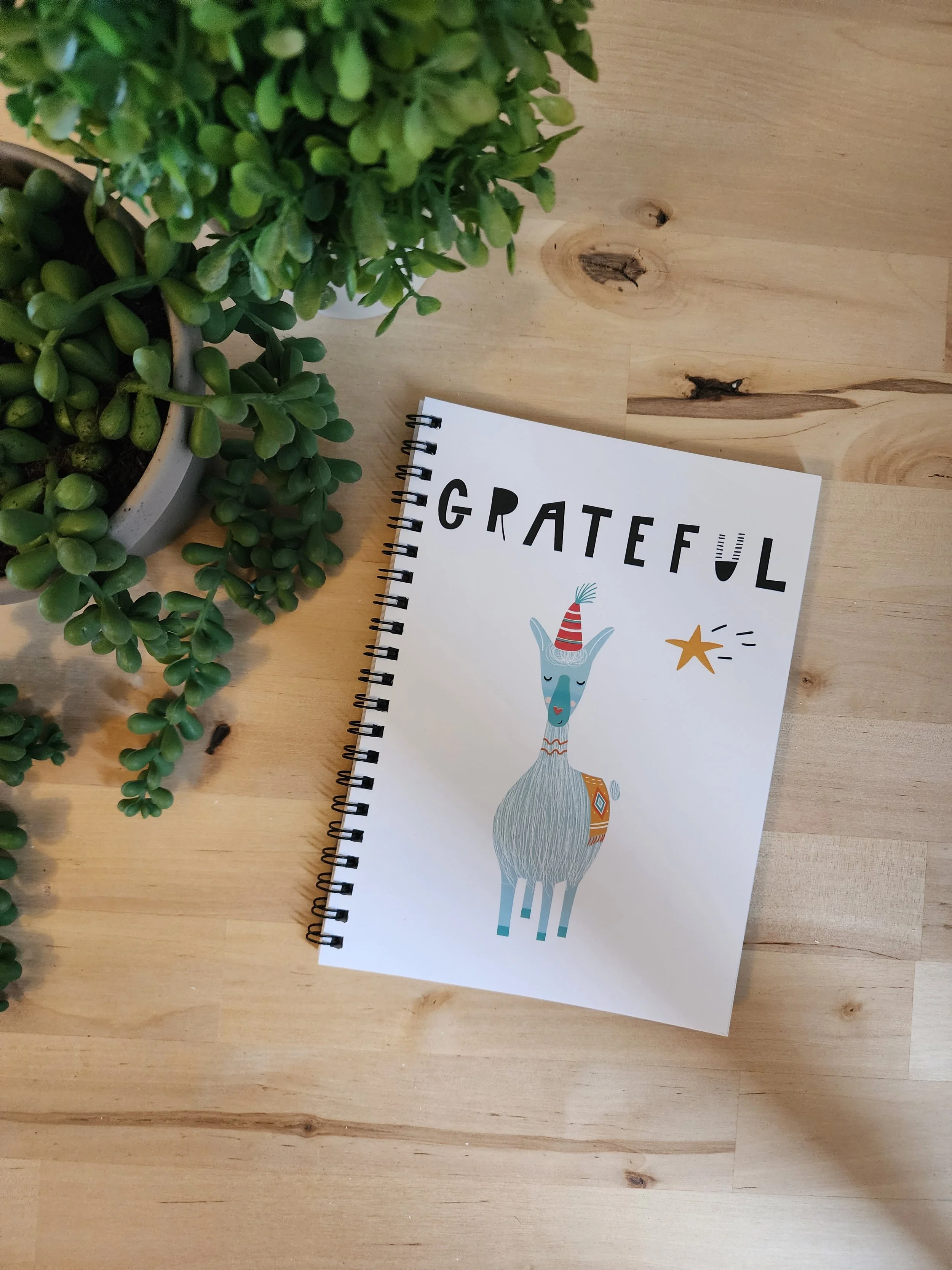 shop — Dwell Journal